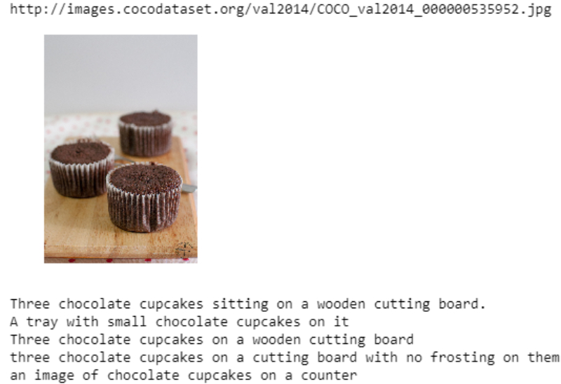 Automatic Image Captioning with CNN & RNN | Krunal Kshirsagar