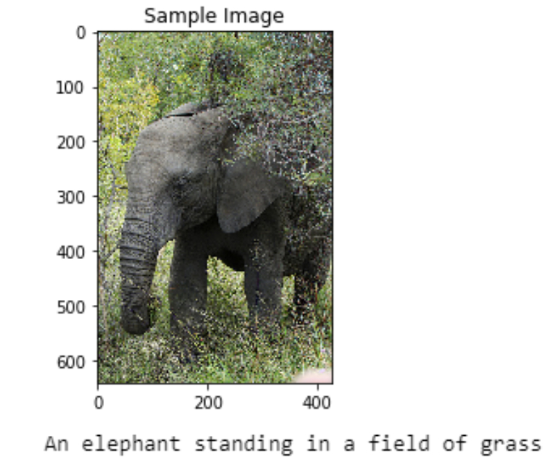Automatic Image Captioning with CNN & RNN | Krunal Kshirsagar