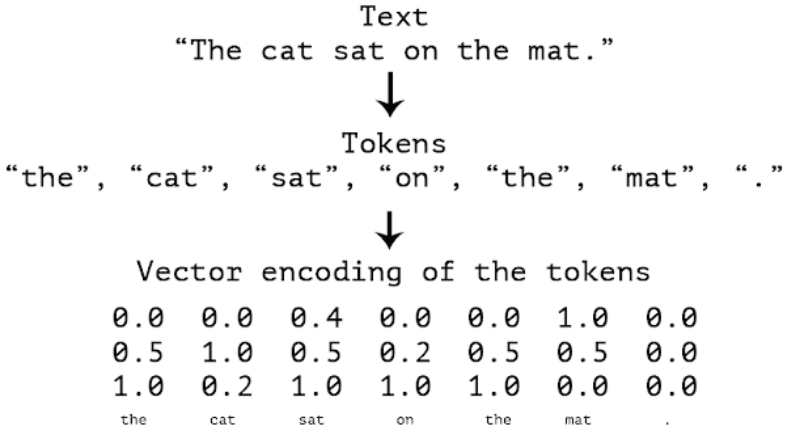 Automatic Image Captioning with CNN & RNN | Krunal Kshirsagar